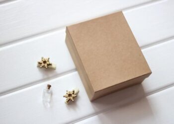 Ai And Ml Survey: Bright Future With Python Development | Teecycle