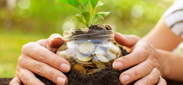 Ways to Keep Your Cryptocurrency Safe | Teecycle Ways to Keep Your Cryptocurrency Safe | Teecycle